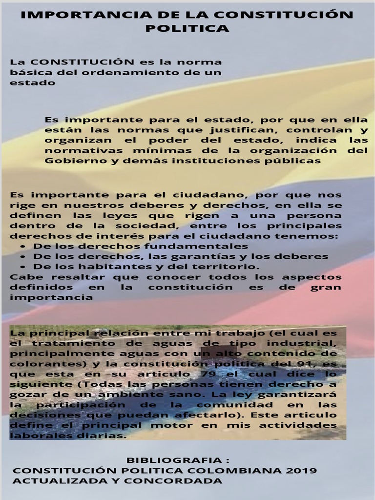 Infografia Importancia De La Constitución Pdf