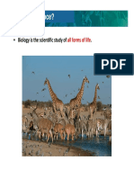 Amoeba Sisters - Plants-Diversity, Structure & Adaptations Video | PDF ...