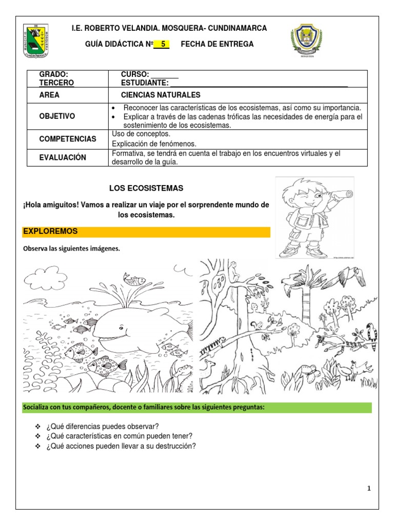Hojas De Trabajo Sobre Ecosistemas Para Quinto Grado CIENCIA Y