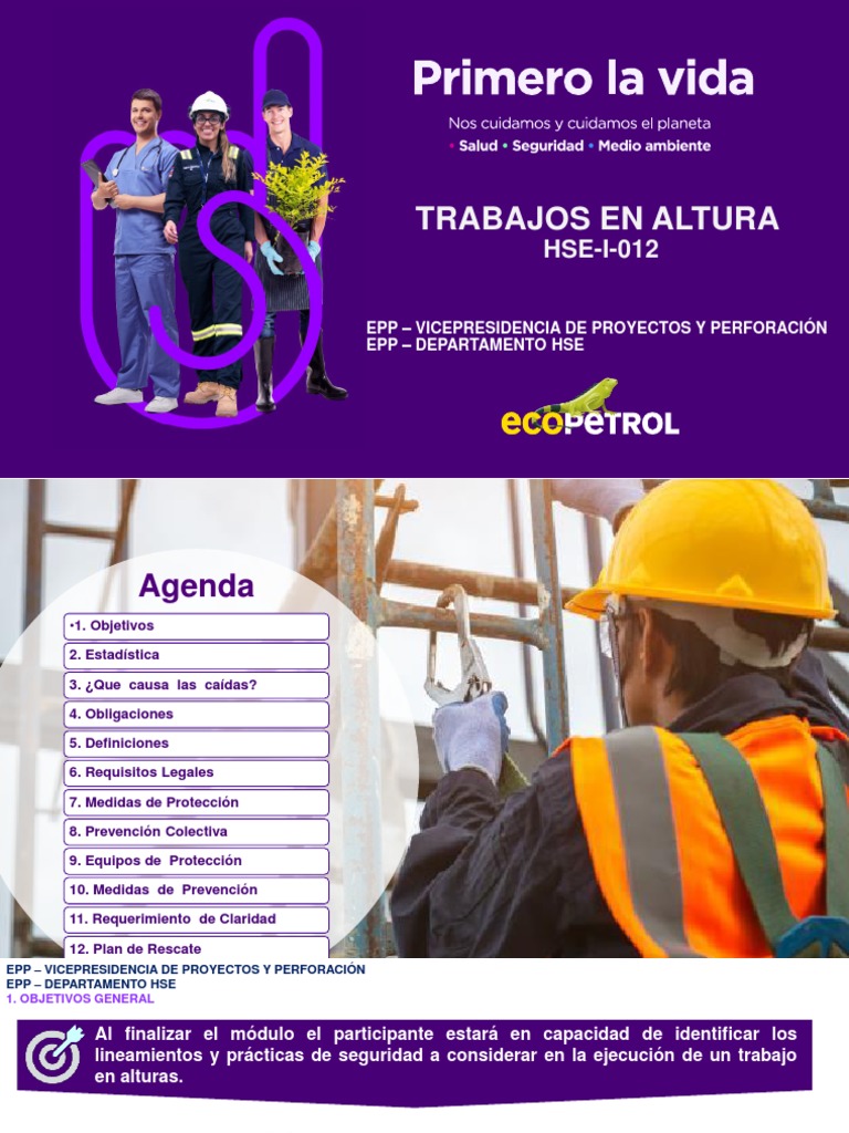 EPP HSE Trabajos en Altura | PDF | Acero | Primeros auxilios