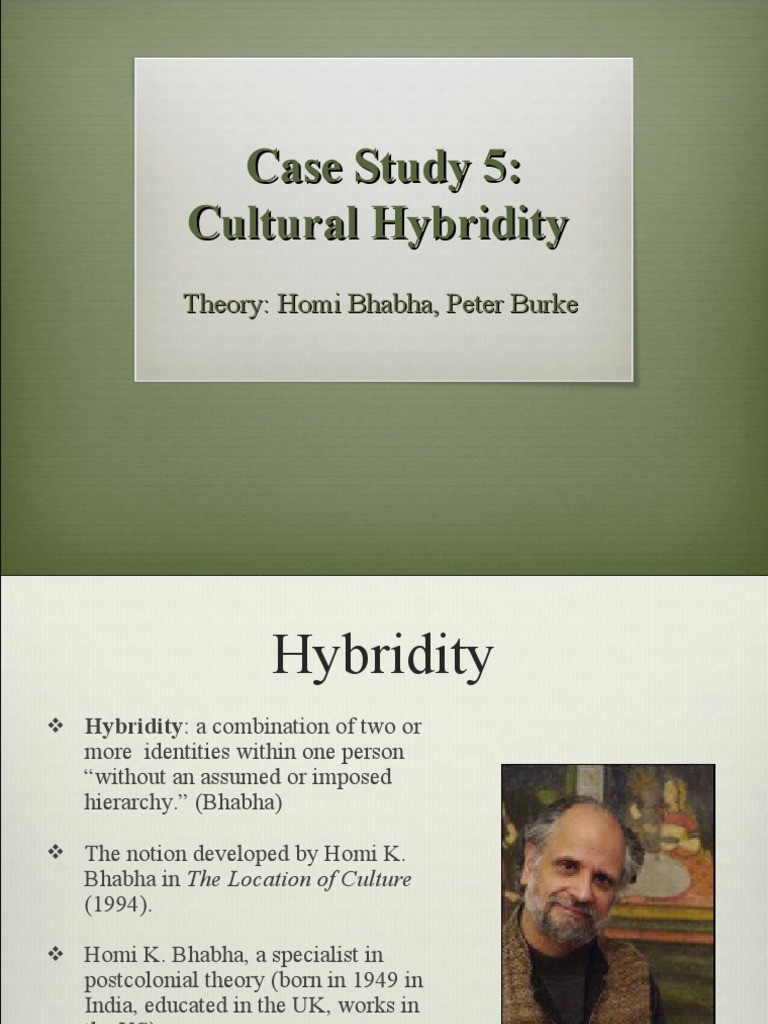 Cultural Hybridity | PDF