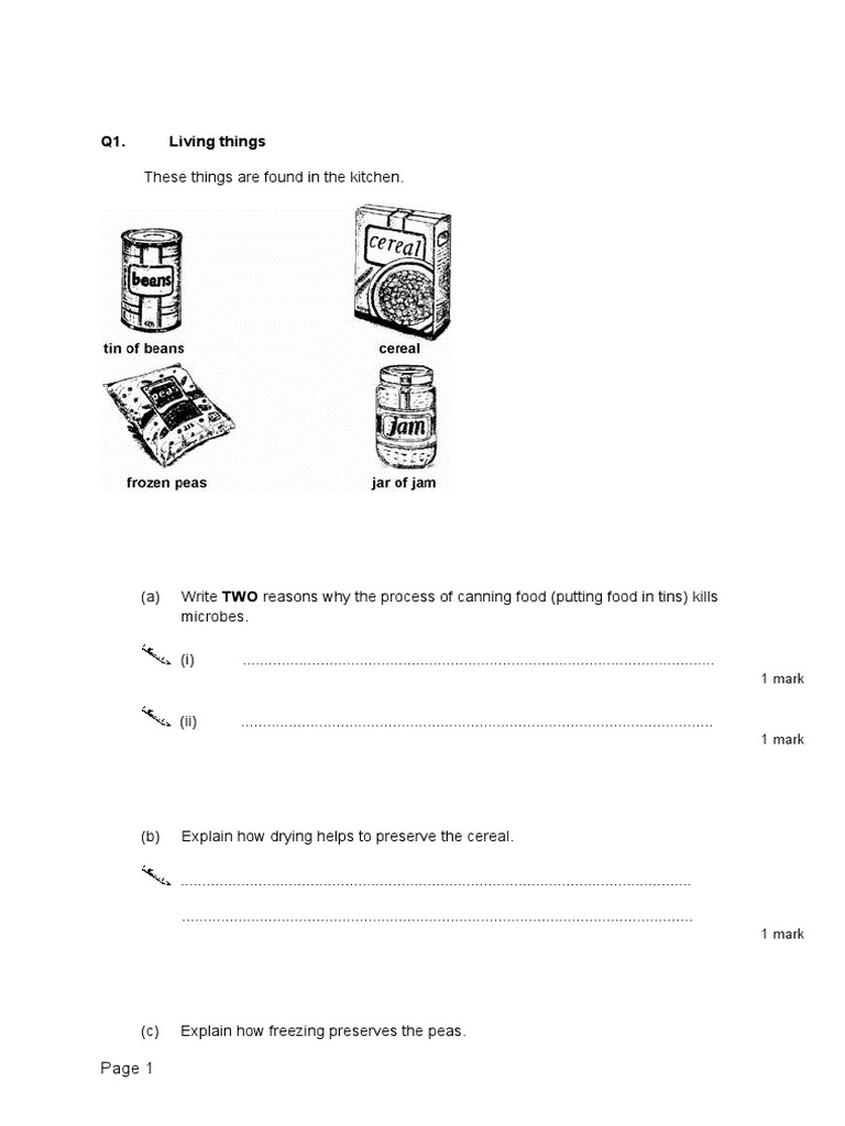 Micro-Organisms - Level 5 - Questions | PDF | Smallpox | Microorganism