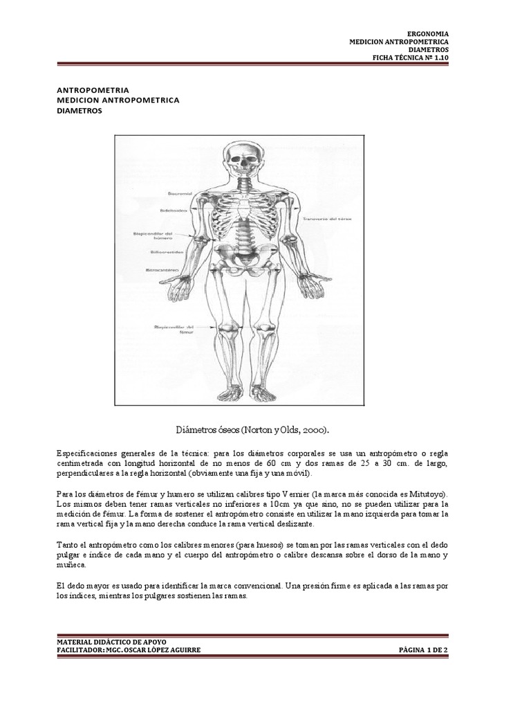 Medición de Diámetros Antropométricos | PDF | Mano | Tórax