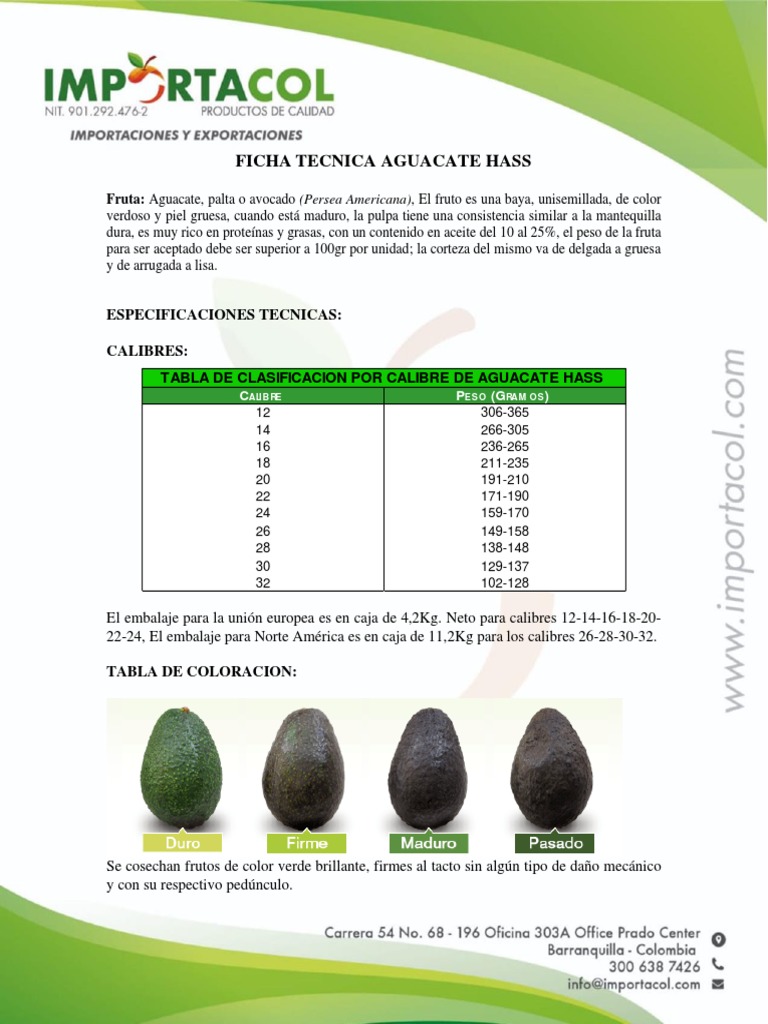 Ficha Técnica del Aguacate Hass | PDF