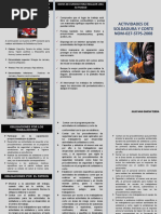 Triptico LOTO | PDF