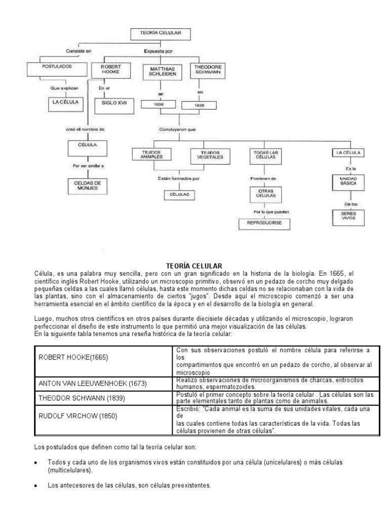 Teoría Celular | PDF | Biología Celular) | Microscopio