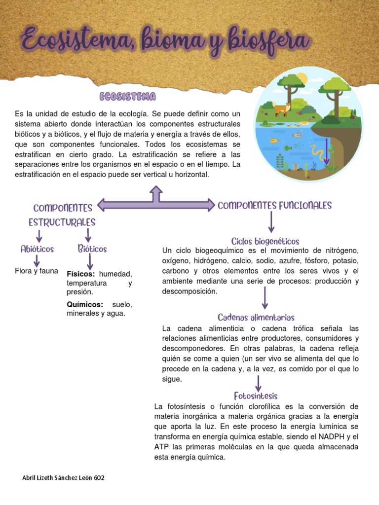 Ecosistema, Bioma y Biosfera | PDF | Naturaleza | Entorno natural