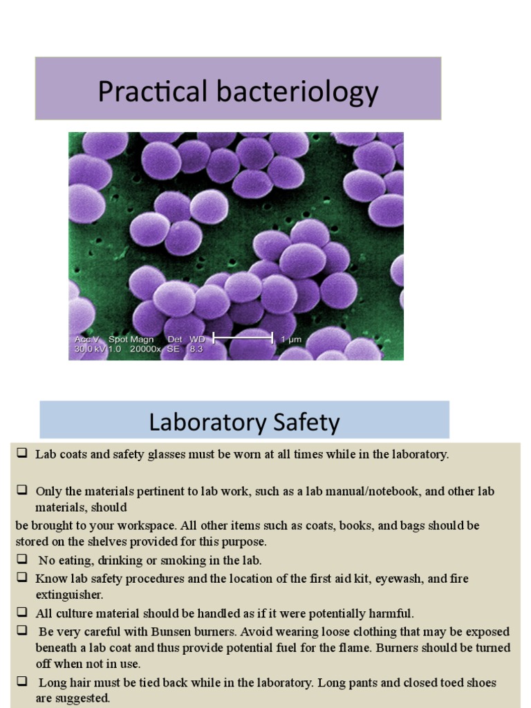 Practical Bacteriology | PDF | Laboratories | Safety