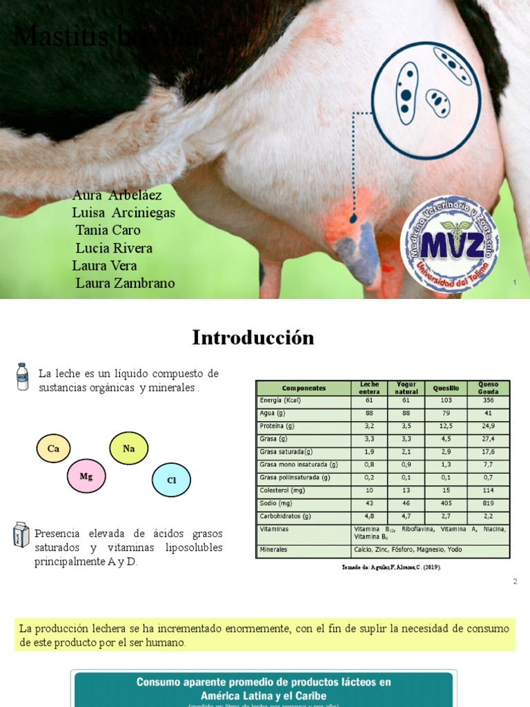 Seminario Mastitis Bovina | PDF | Leche | Infección