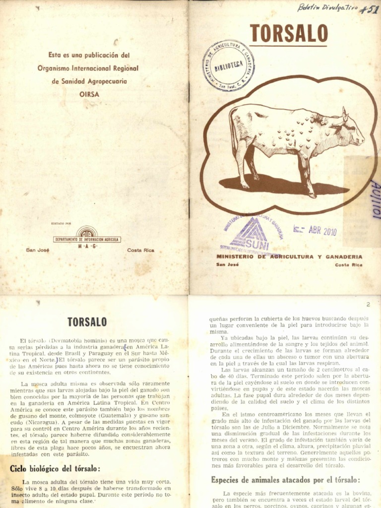 Nuche o Torsalo | PDF | Mosca | Vacas