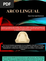 Ligas y Anclaje Máscara Facial | PDF | Naturaleza