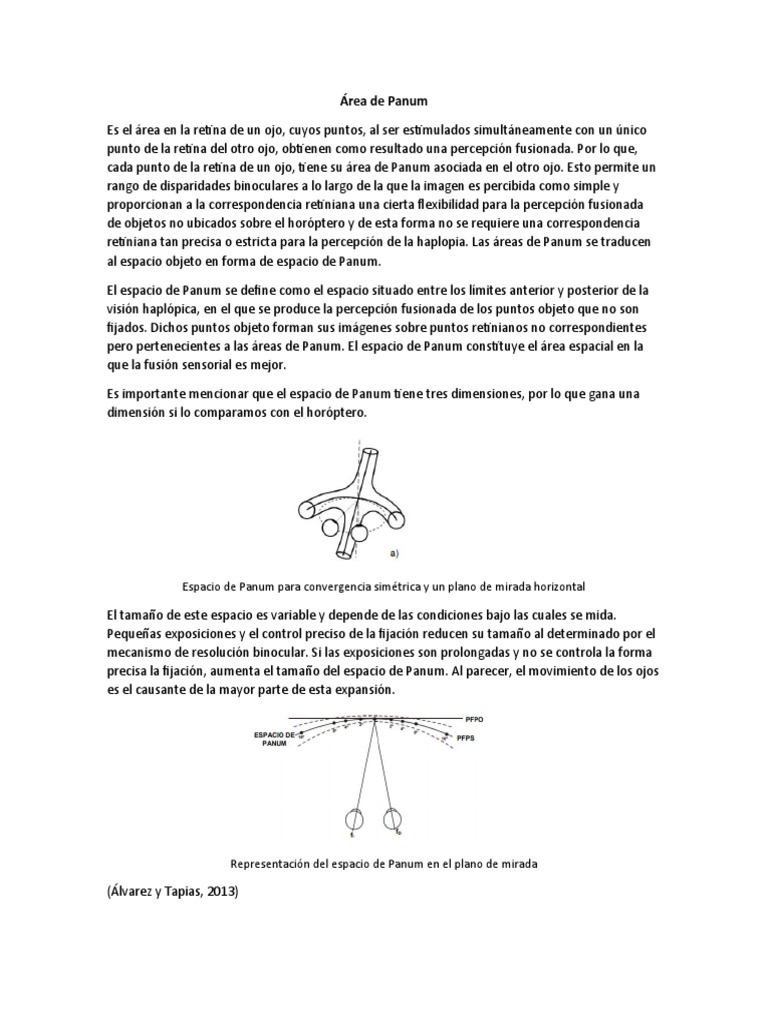Área de Panum y percepción visual | PDF | Percepción | Percepción visual