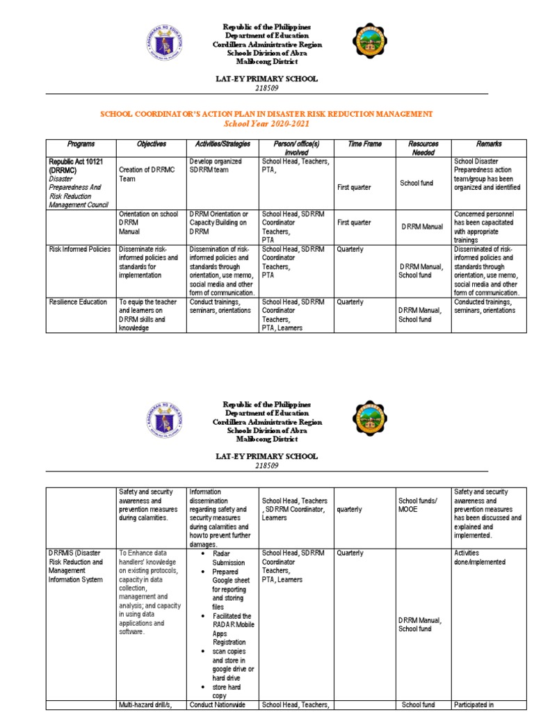 SDRRMC Action Plan 2020-2021 Erika Wayaway | PDF | Emergency Management ...