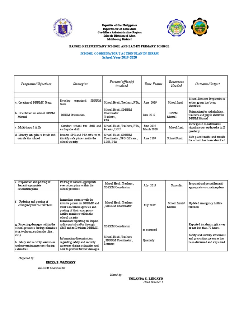 SDRRM Action Plan 2019-2020 Erika | PDF | Emergency Management | Emergency