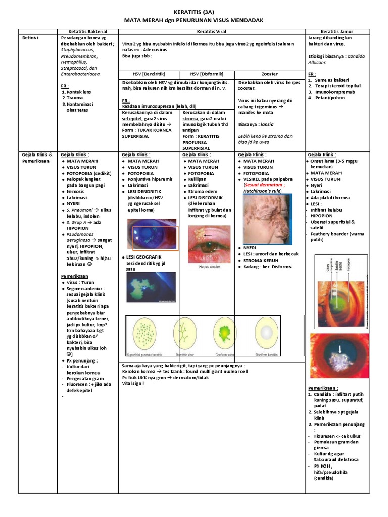 Perbandingan Keratitis dan Ulkus Kornea | PDF