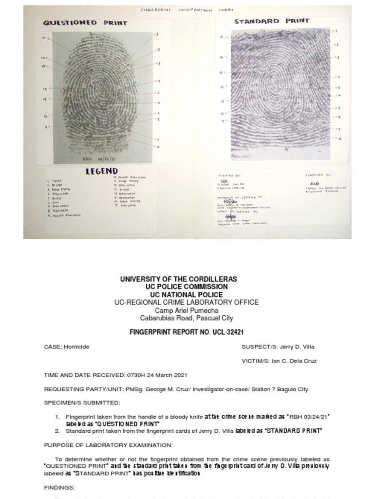Technical Report and Comparison Chart | PDF | Fingerprint | Criminal Law