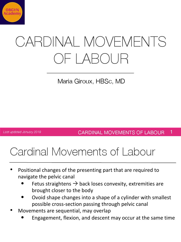Cardinal Movements Of Labor