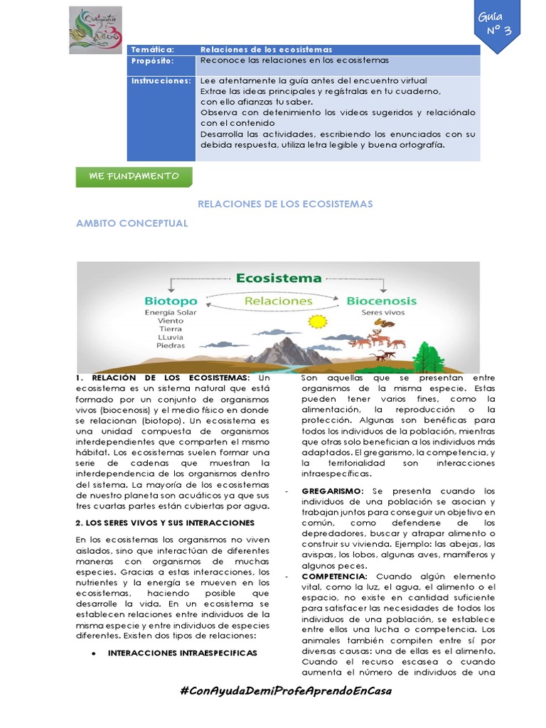 Relaciones en los Ecosistemas para Niños | PDF | Ecosistema | Parasitismo