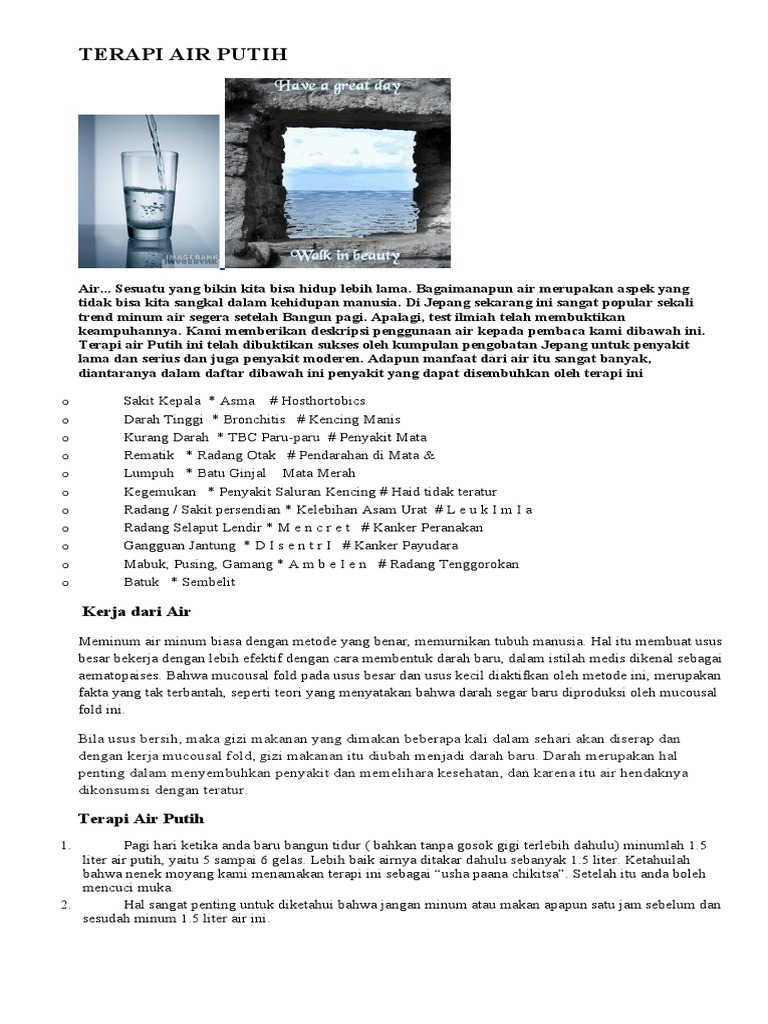 Terapi Air Putih | PDF