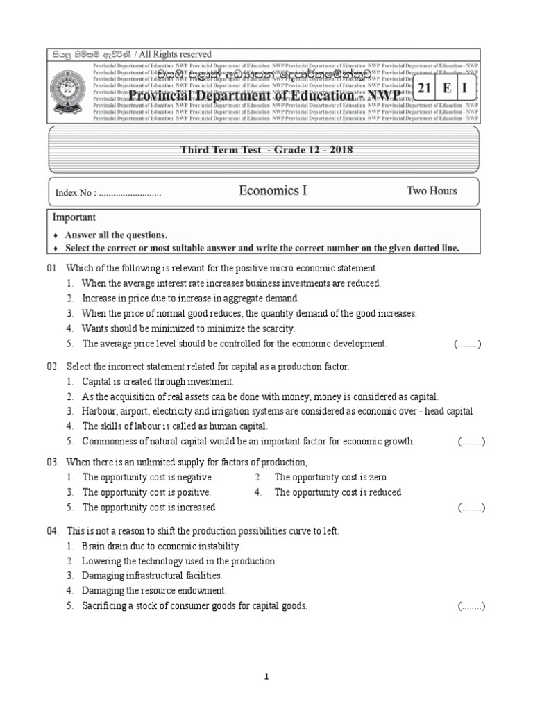 ECON Model Paper | PDF | Demand | Elasticity (Economics)