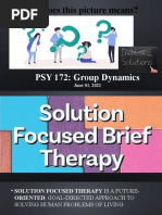 SFBT Diamond Approach Treatment Manual For Individuals Version 1 ...