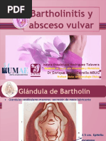 Bartholinitis Aguda | PDF | Cuidado de la salud | Especialidades Medicas