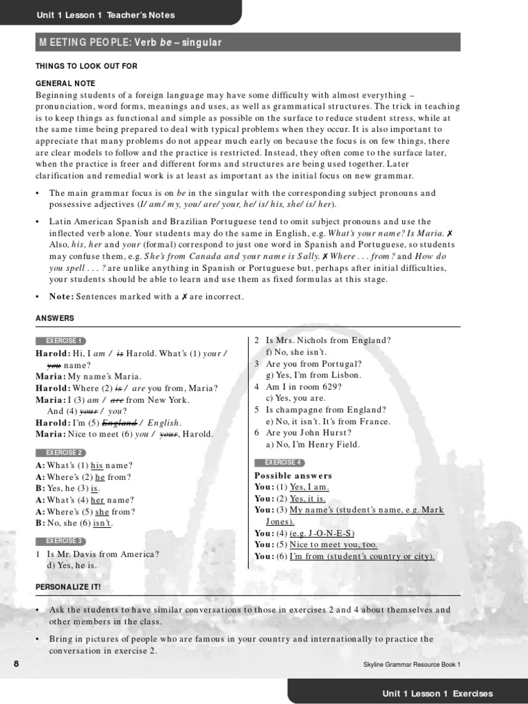 Skyline Lesson 1 | PDF | Grammatical Number | Spanish Language