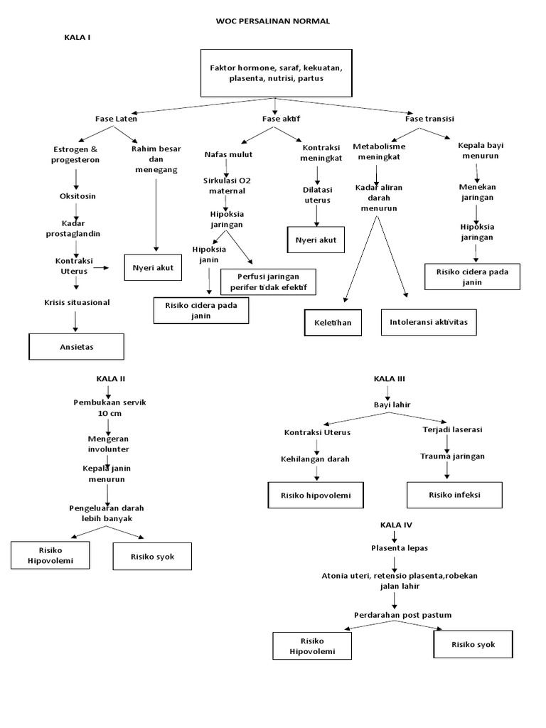 WOC Partus Normal | PDF