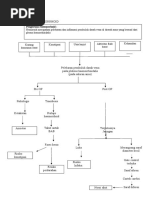 Pathway Hemoroid | PDF