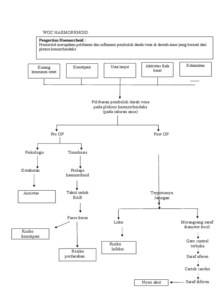 Pathway Hemoroid | PDF
