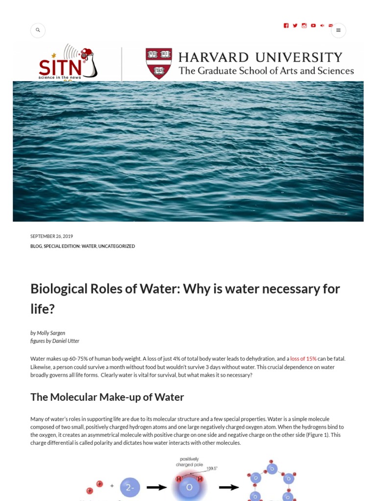 Biological Roles of Water - Why Is Water Necessary For Life - Science ...