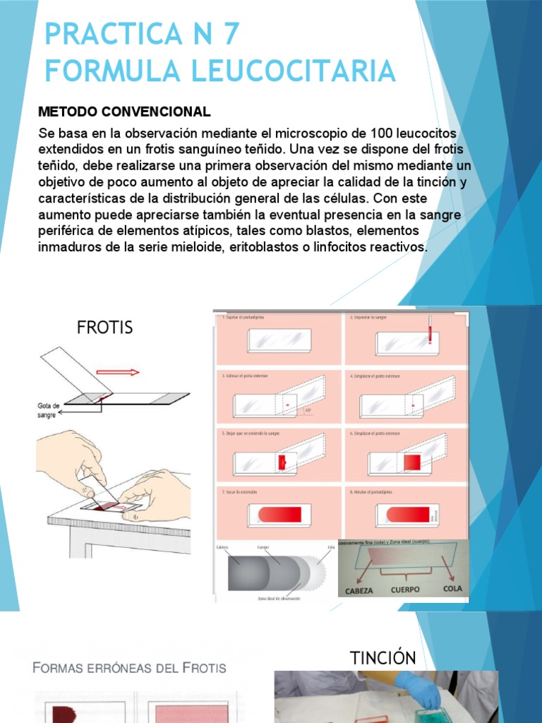 7.-Formula Leucocitaria | PDF