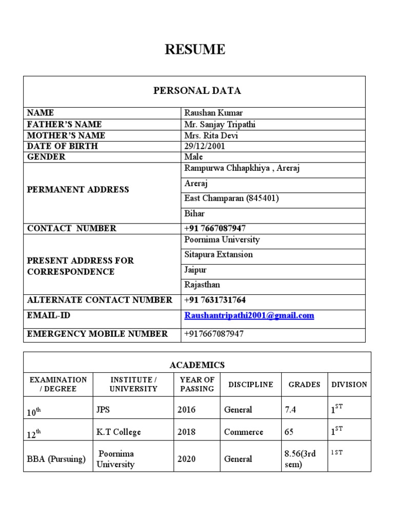Raushan Kumar's Professional Resume | PDF