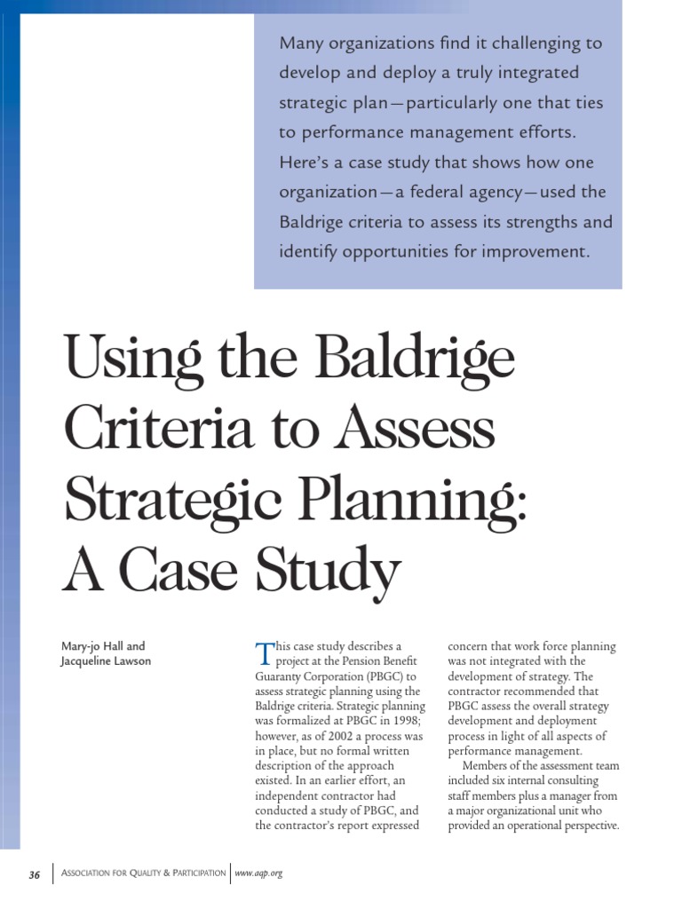 Assess Strategic Planning Case Study | PDF | Strategic Planning ...
