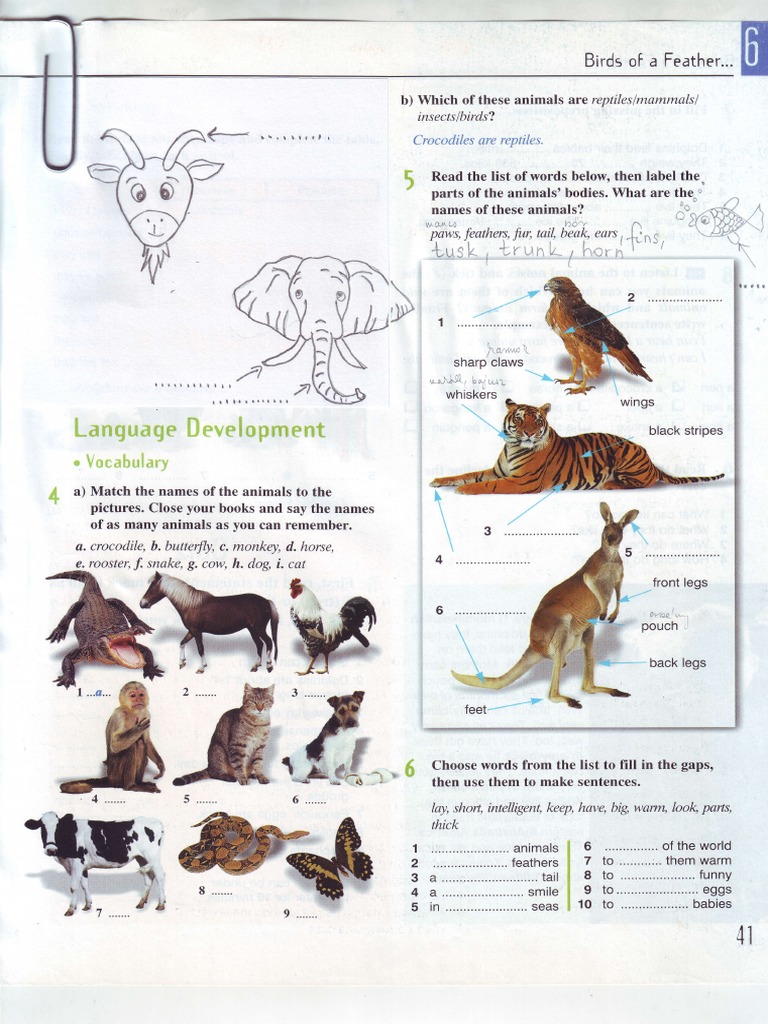 'Ffi ..., M'WM Wffiwffi R#ffi, Wffiw! W'1, T Rww'y W W WWW W W:W | PDF