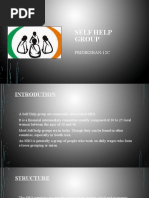 SHG Group Project Report PDF | PDF | Microfinance | Microcredit
