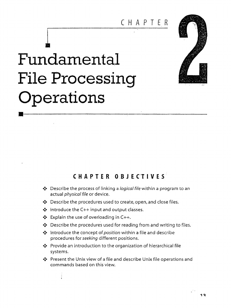 Fundamental File Processing Operations | PDF