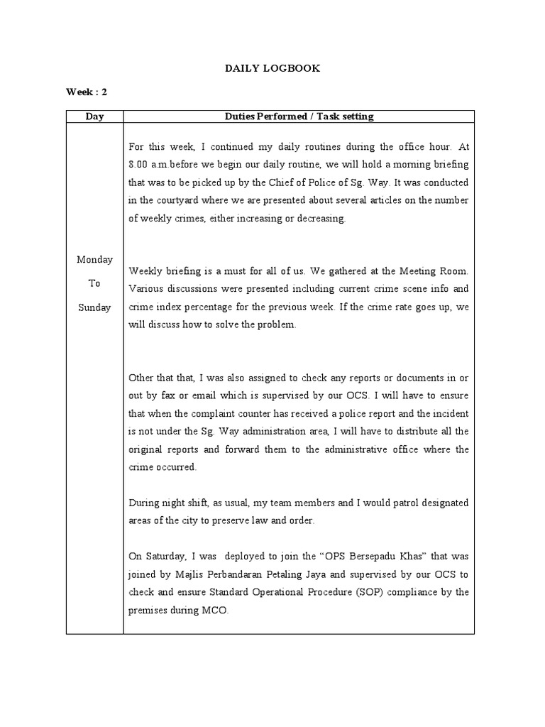 Daily Logbook Week 2 | PDF
