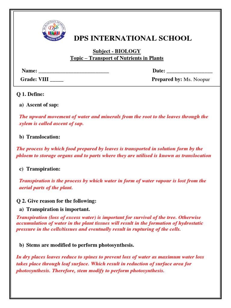 Nutrient Transport in Plants: Class 8 Guide | PDF | Leaf | Plant Physiology