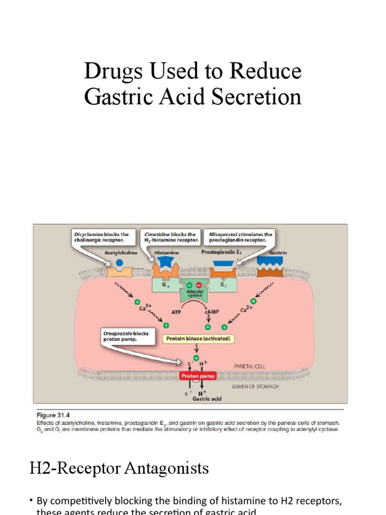 Drugs Used To Reduce Gastric Acid Secretion | PDF | Medical Specialties ...