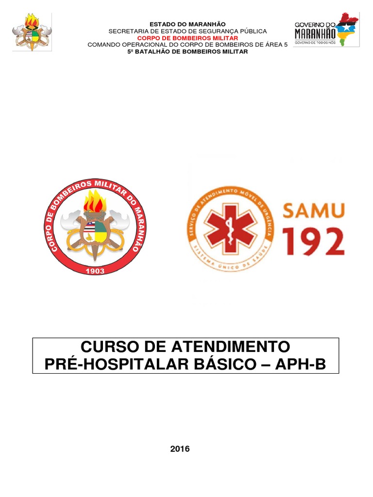 Apostila Curso APH | PDF | Leis do Movimento de Newton | Airbag