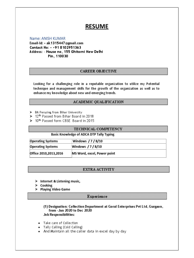 Anish Kumar's Resume Overview | PDF