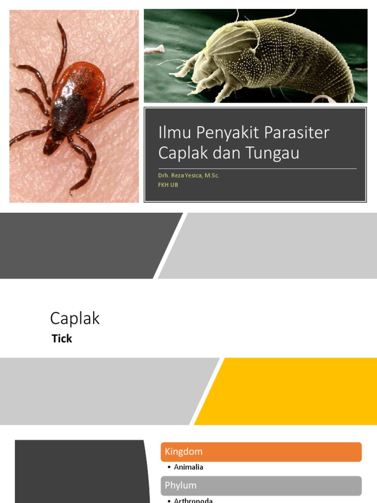 Ilmu Penyakit Parasiter Caplak Dan Tungau-Ry | PDF
