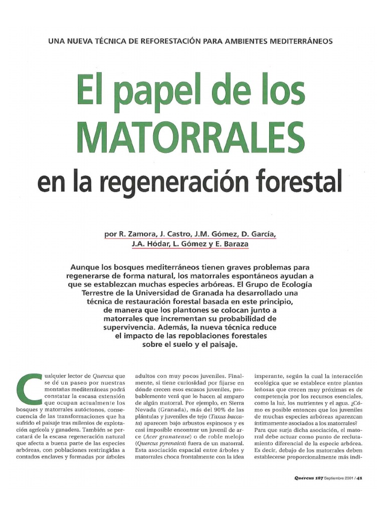 El Papel de Los Matorrales en La Regeneracion Forestal | PDF