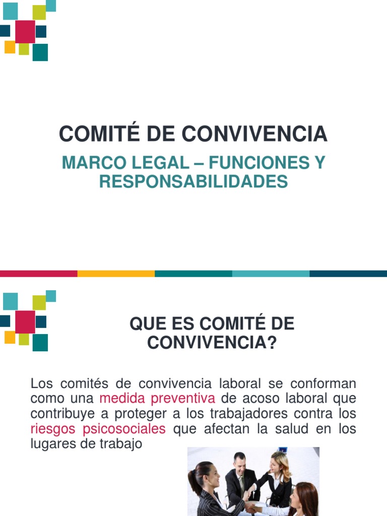 CCL - Funciones y Responsablidades | PDF
