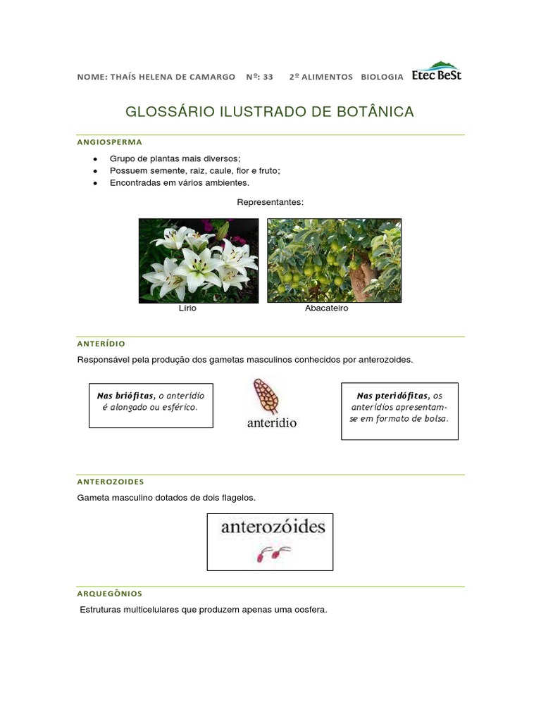 Glossário Ilustrado de Botânica | PDF | Plantas | Musgo