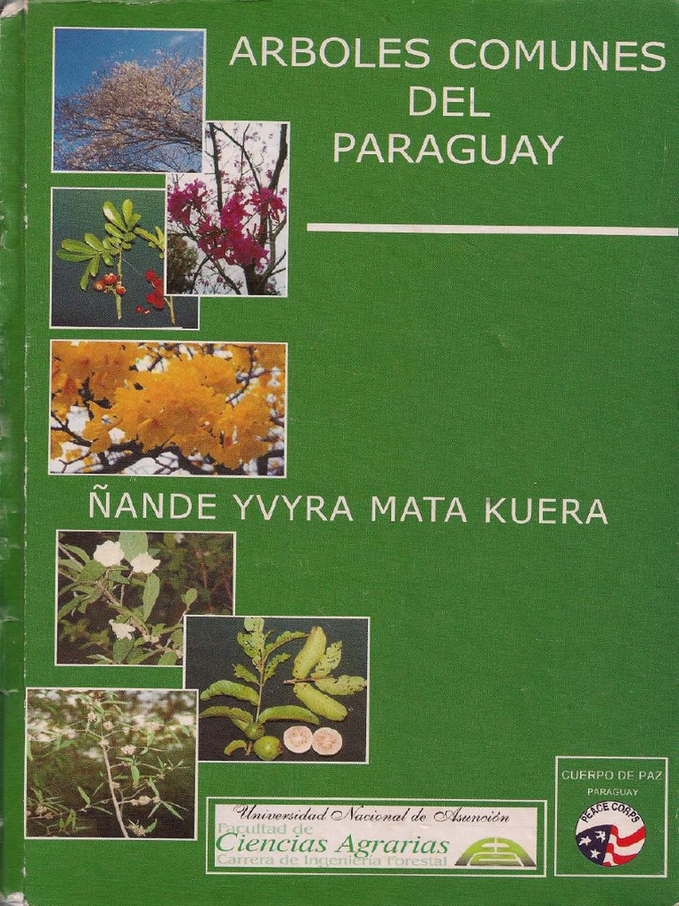 C3b1ande Yvyra Mata Kuera Compressed | PDF