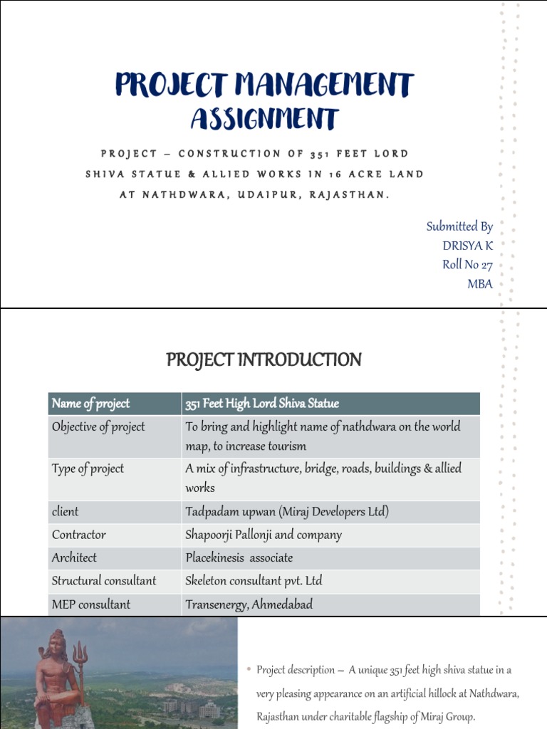 Project Management: Assignment | PDF | Economic Sectors