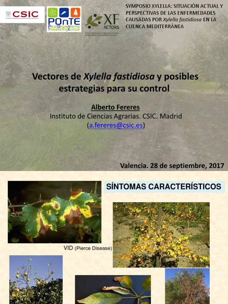 3 - Vectores de Xylella Fastidiosa y Posibles Estrategias para Su ...