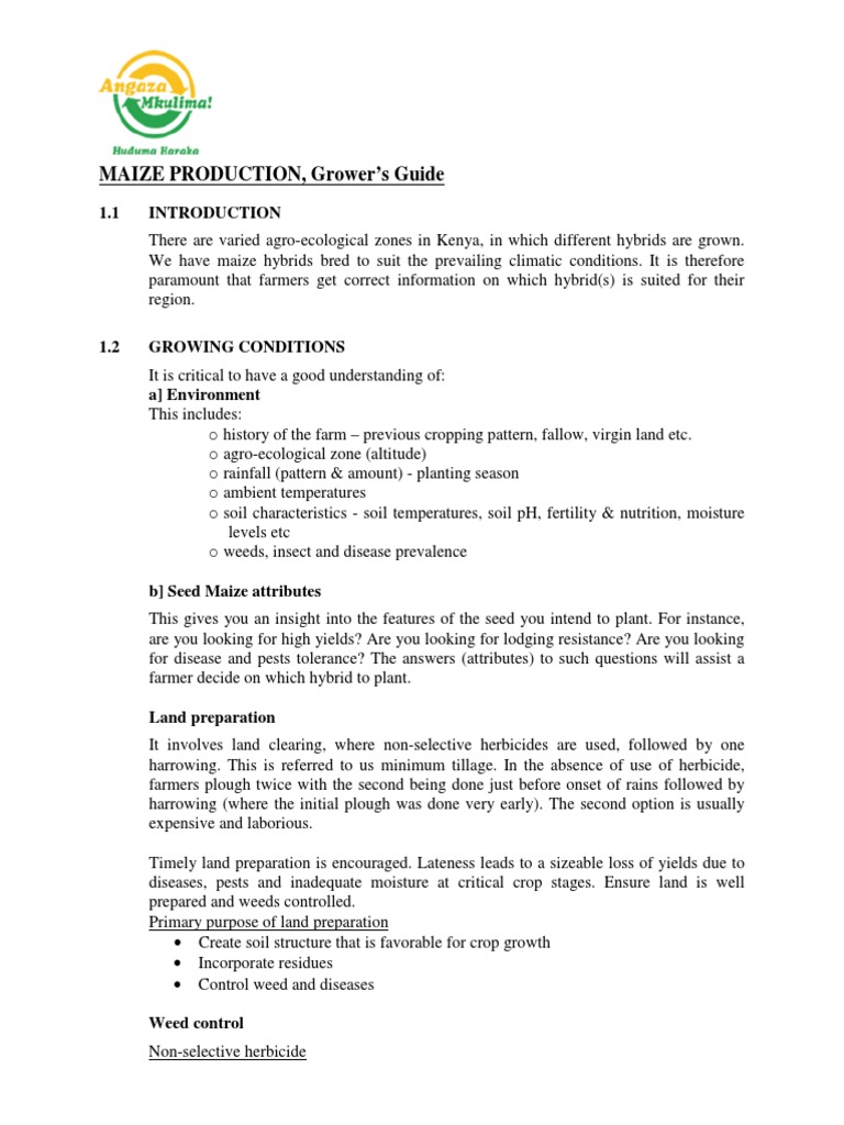 Maize Production Growers Guide | PDF | Agriculture | Herbicide